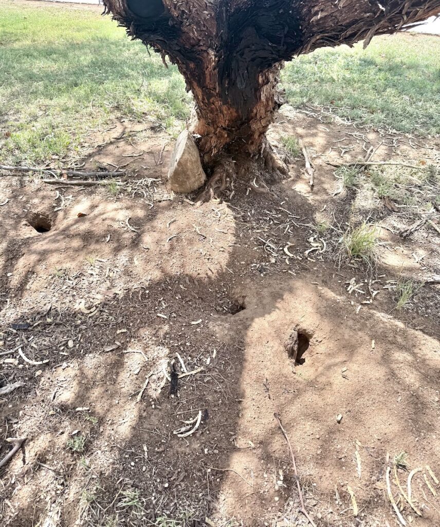 Gopher Control Services w/ GopherX Technology.