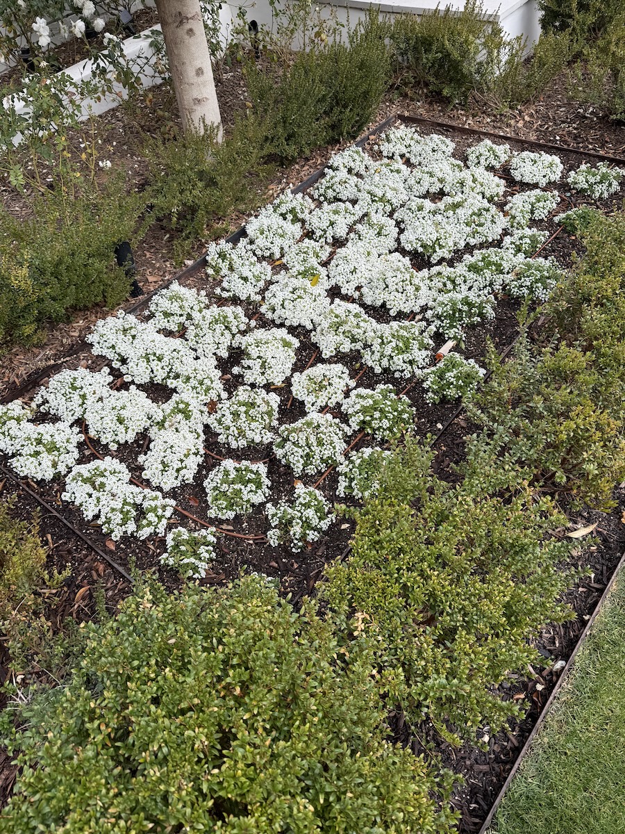 Soil Management Solutions | The Key To Fix Your Entire Landscape